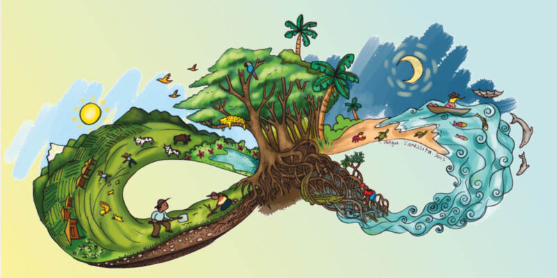 Key words: The Pluriverse - Red Pepper